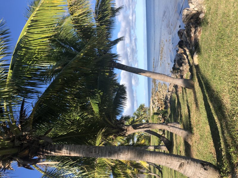 Why You Should Visit Fiji – bingo abroad