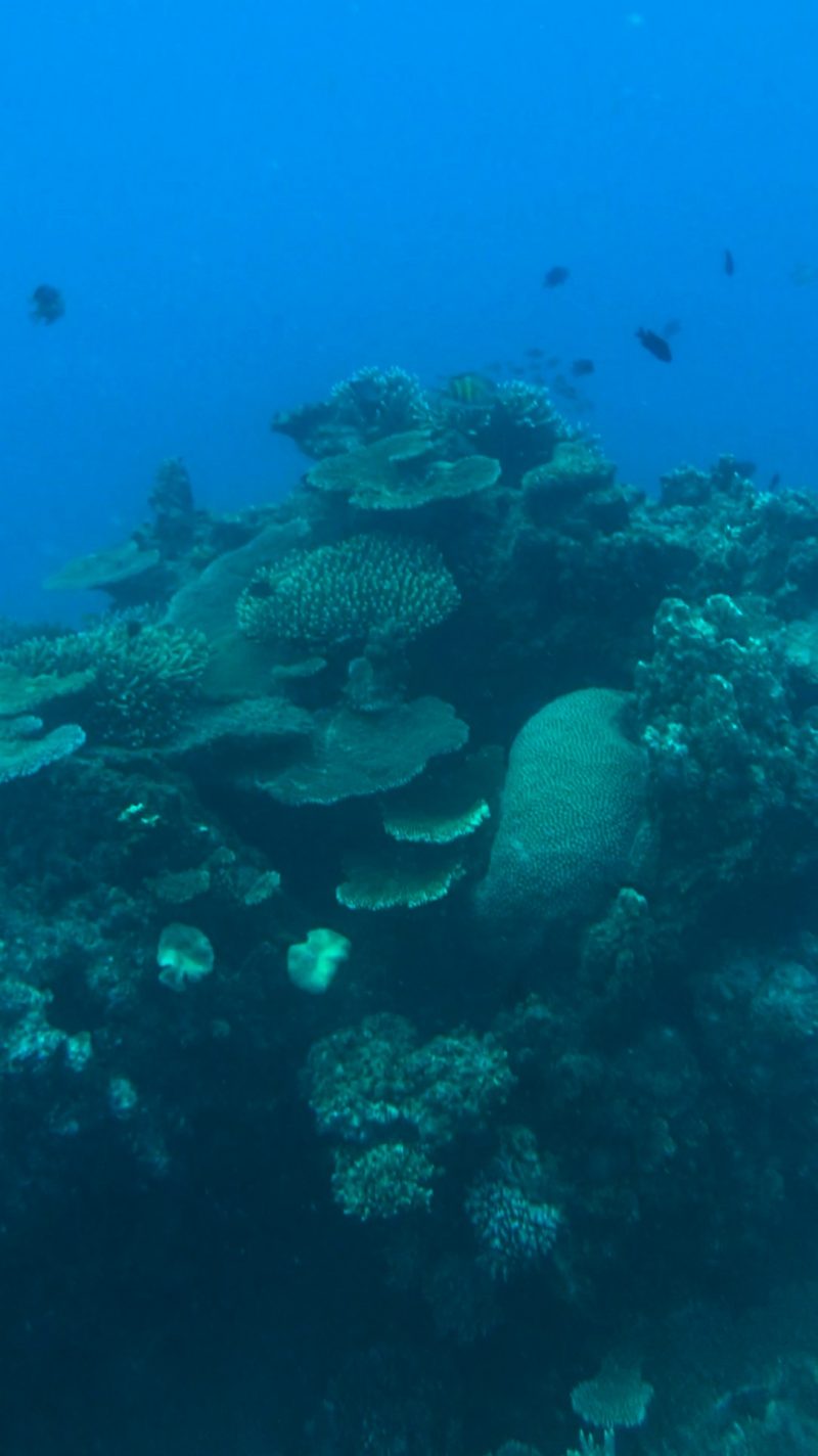 Why You Should Visit Fiji – bingo abroad